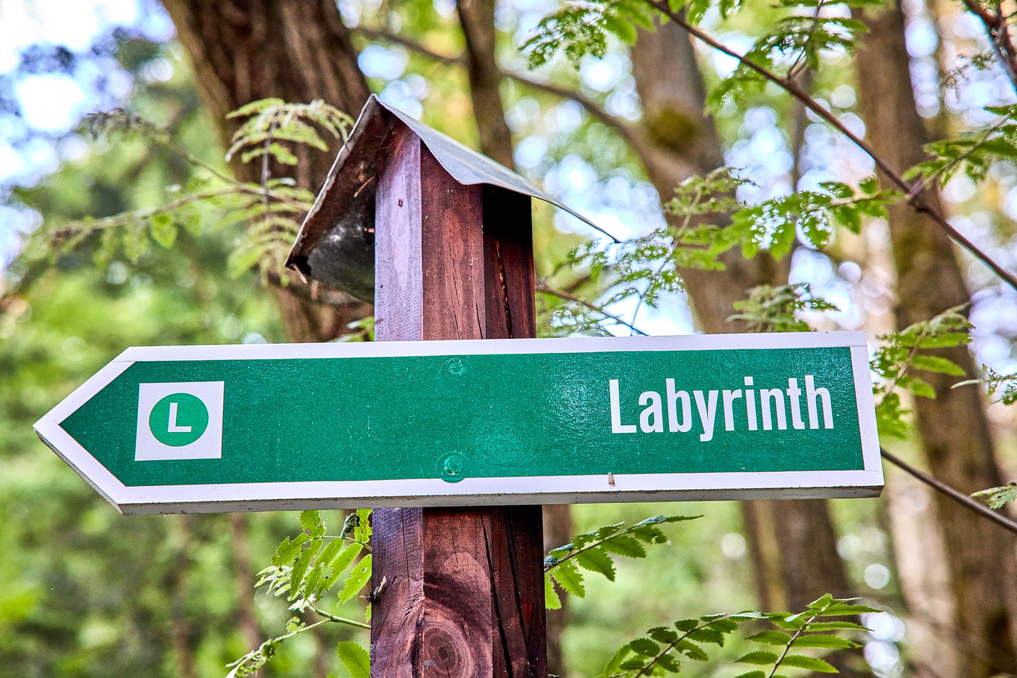 Die 10 spannendsten Outdoor-Labyrinthe in Deutschland