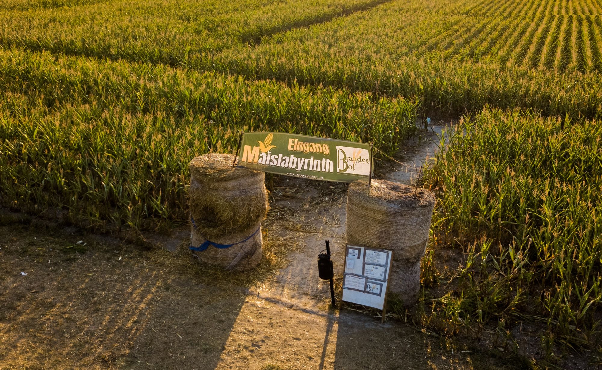 Die schönsten Maislabyrinthe in Niedersachsen