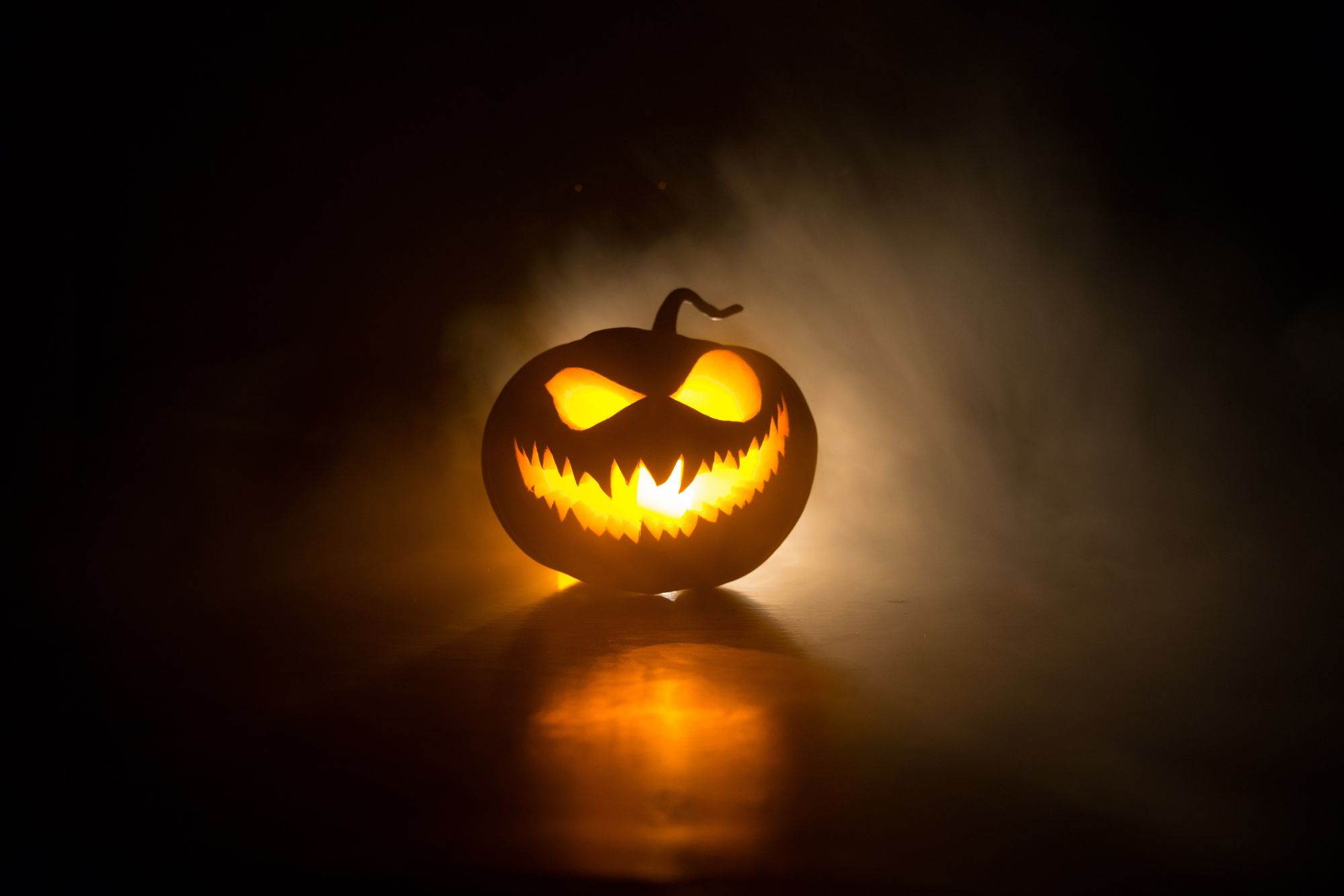 Nicht nur zu Halloween: Deutsche Grusel-Orte